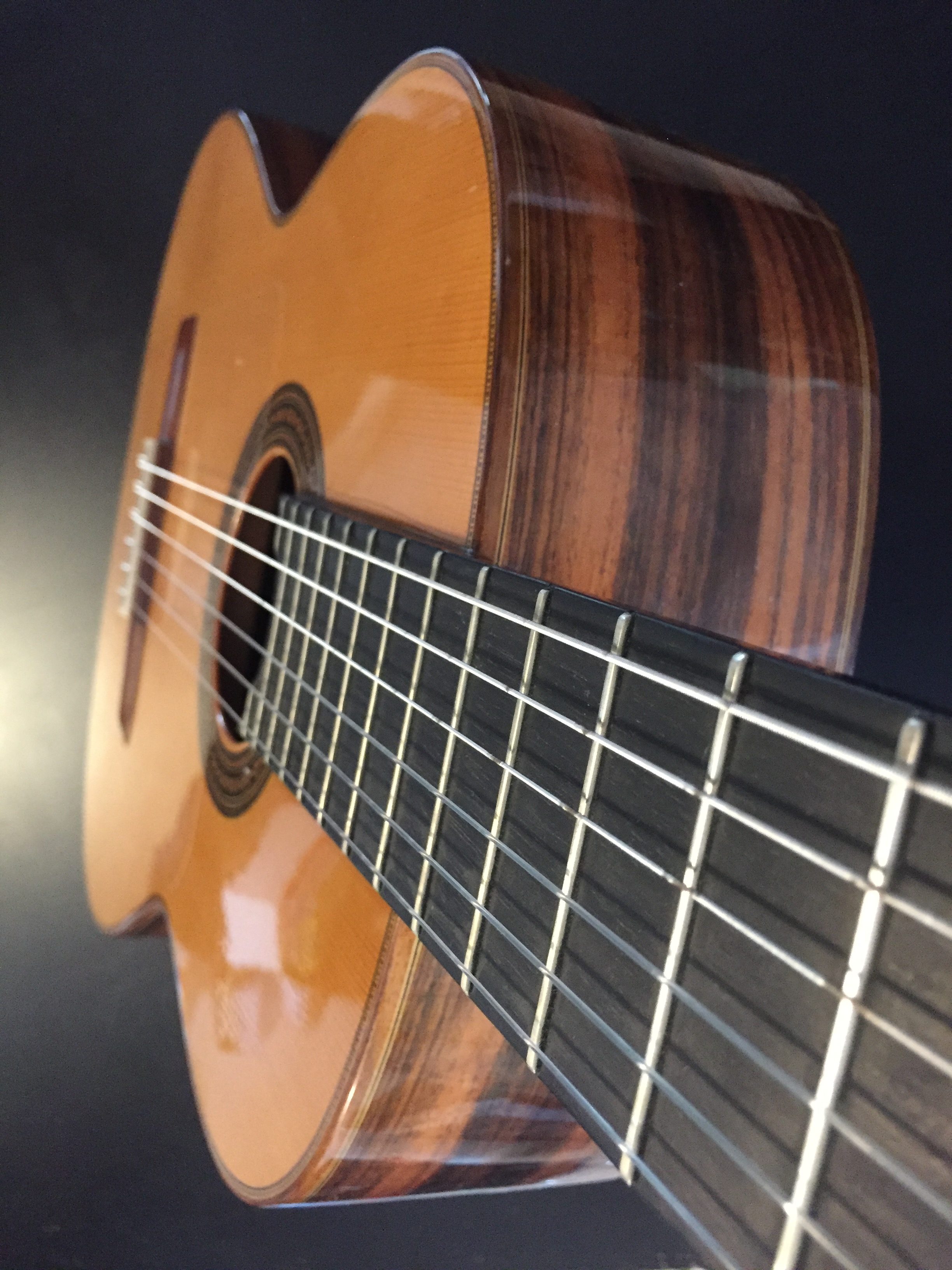 Cours de guitare classique/flamenca- Poitiers - Julien Jobert